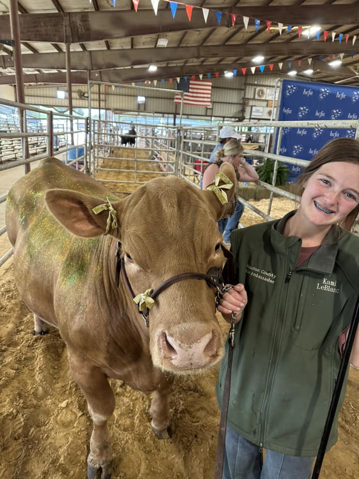 Home - Houston County Fair & Youth Livestock Association